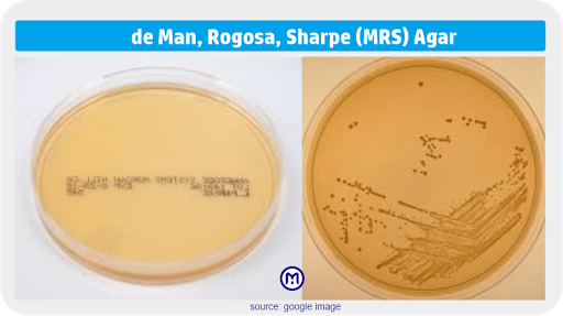 MRS Agar - Definisi, Komposisi, Cara Pembuatan dan Interpretasi Hasil ...