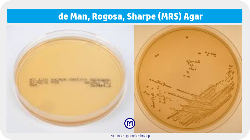 MRS Agar - Definisi, Komposisi, Cara Pembuatan dan Interpretasi Hasil ...