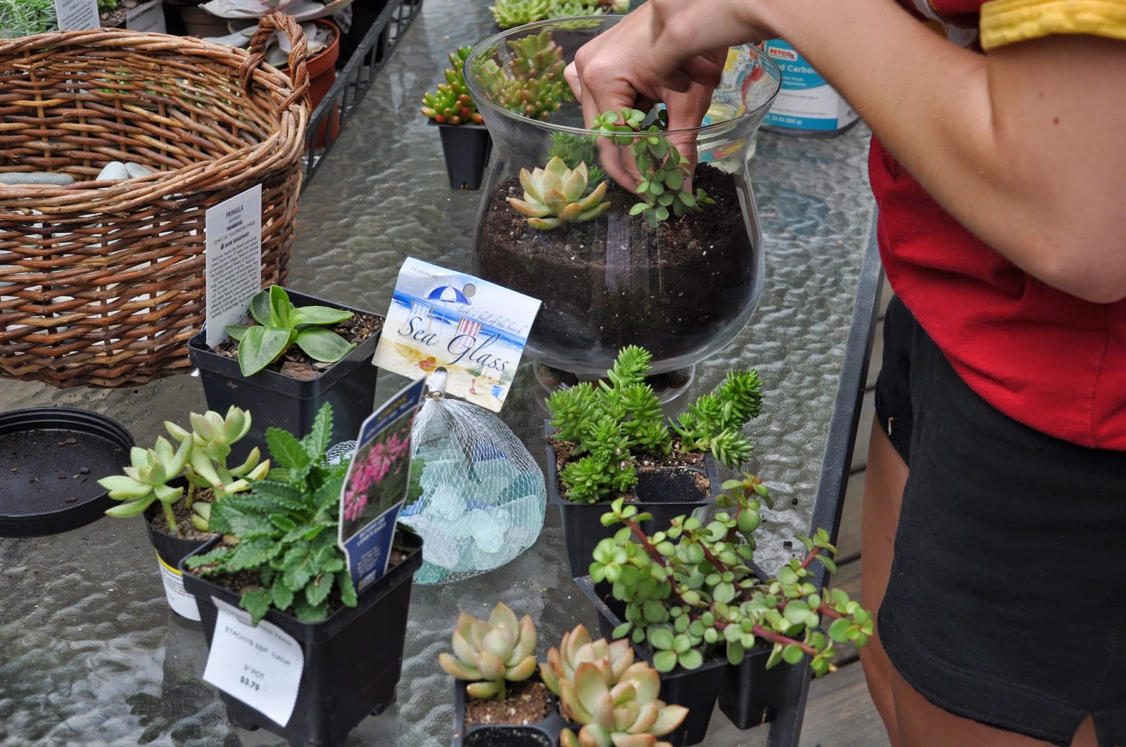 Fun With Barb: Small Scale Gardening