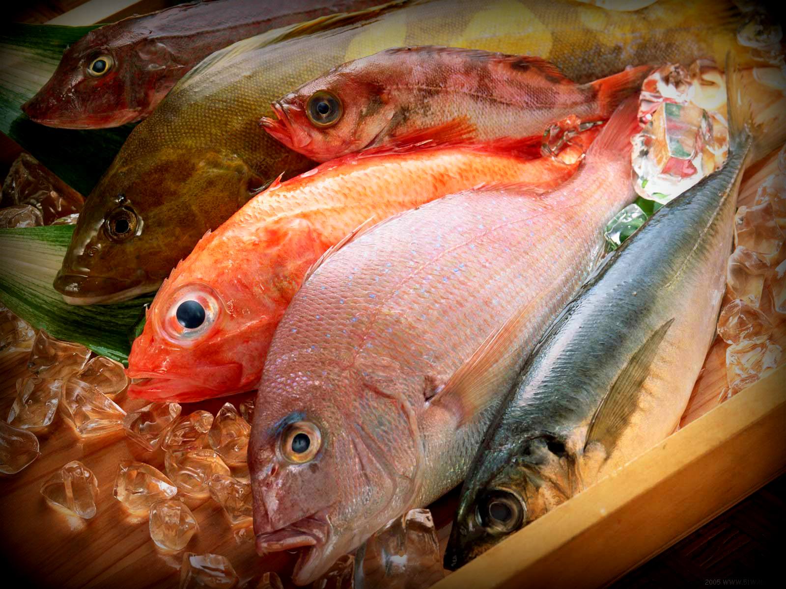 Wonalixia© Bittersweet: PRODUCTOS DE PESQUERÍA