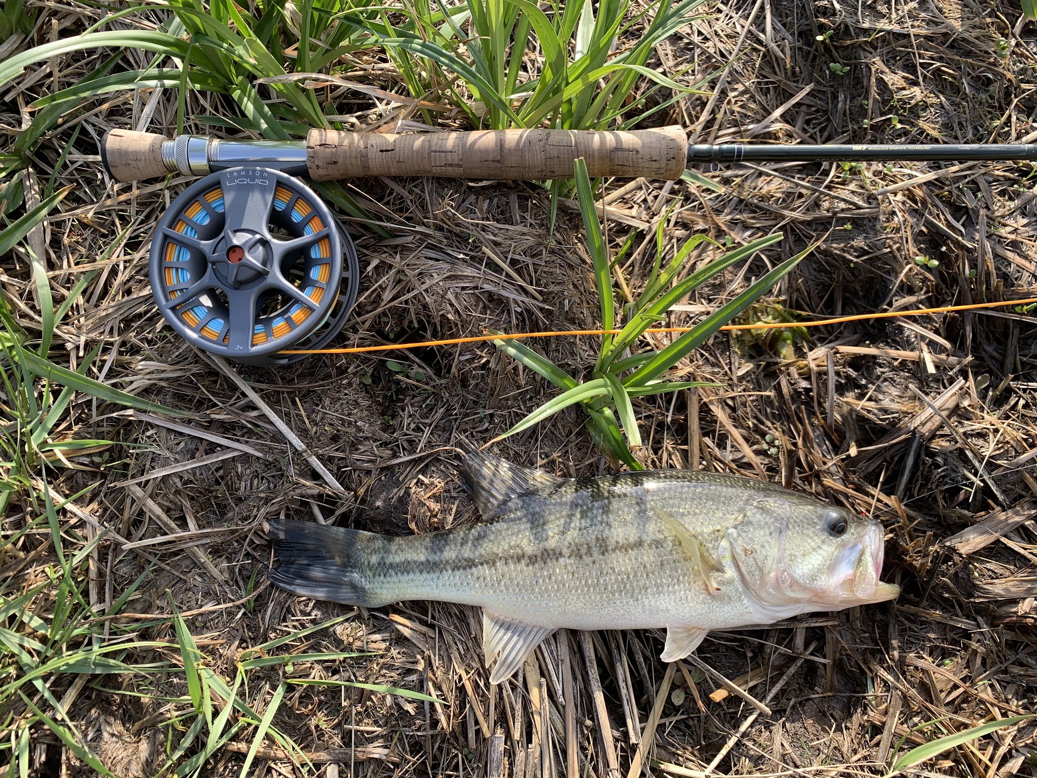 The Show Me Fly Guy: Trying Out Bennett's Lunch Money Fly