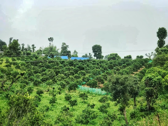 Agri works: Status of Agriculture Genetic Resources Of Ramechhap ...