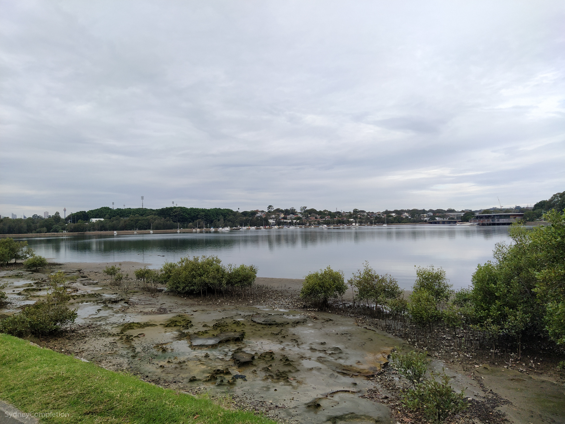 Bay Watch: Russell Lea and Rodd Point - Completing Sydney