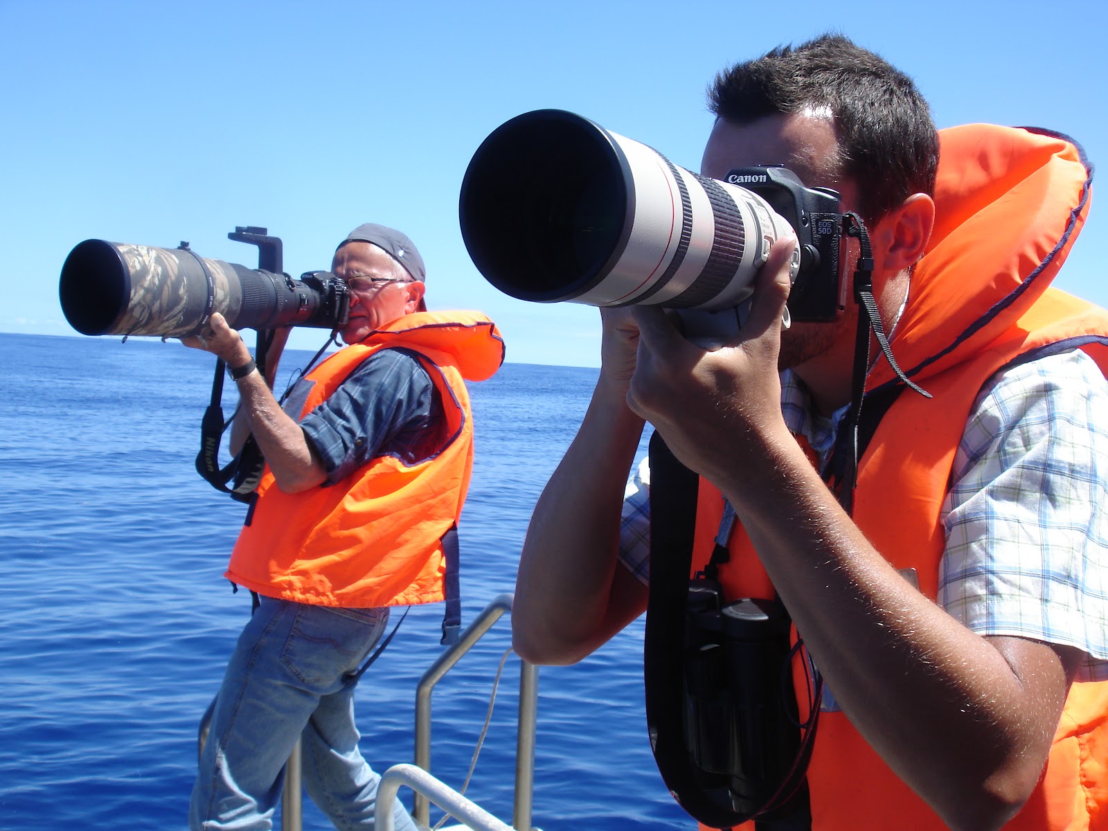 Non-Stop Birding: Azores Pelagic 2020