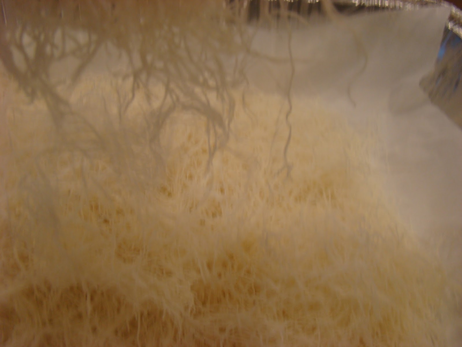 My Favorite Recipes Collection: Ballourie or Ballorieh Baklava