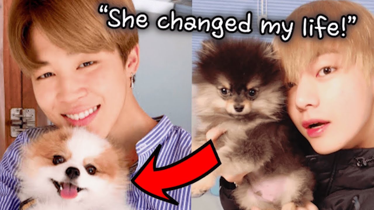 All about BTS' Pets! Introducing BTS' New Family | BTS's Pet Full Info: