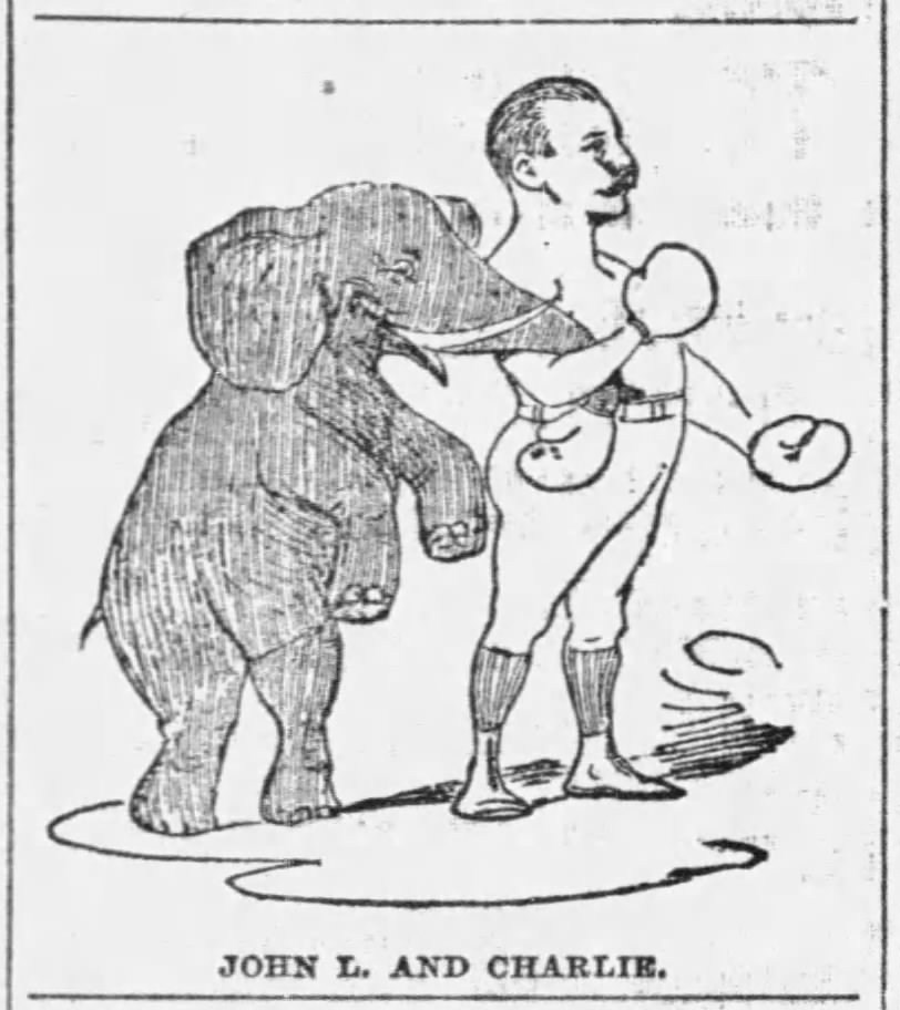 John L Sullivan Drawing