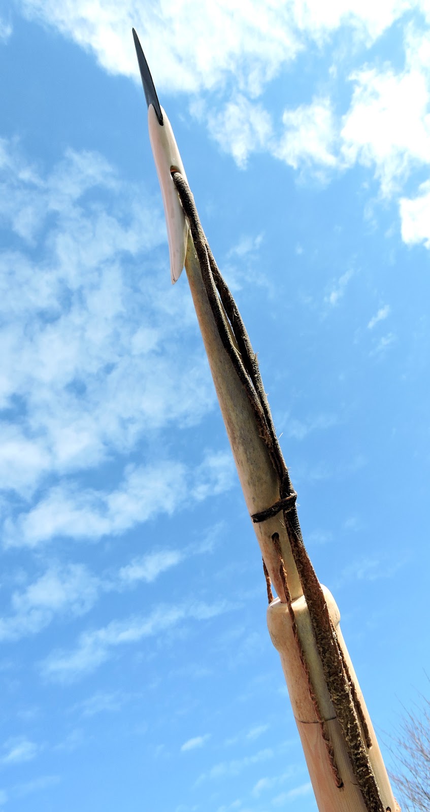 Elfshot: How-To Care For Your Thule Harpoon Reproduction