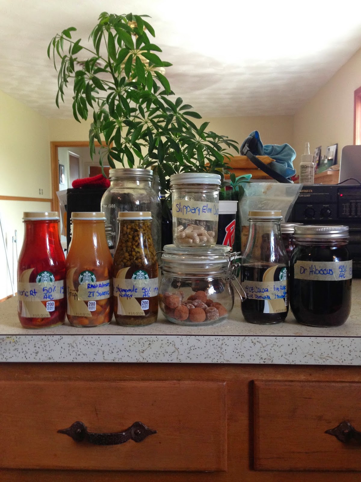 Weird Shit in Jars: Creation and Alchemy in Glass