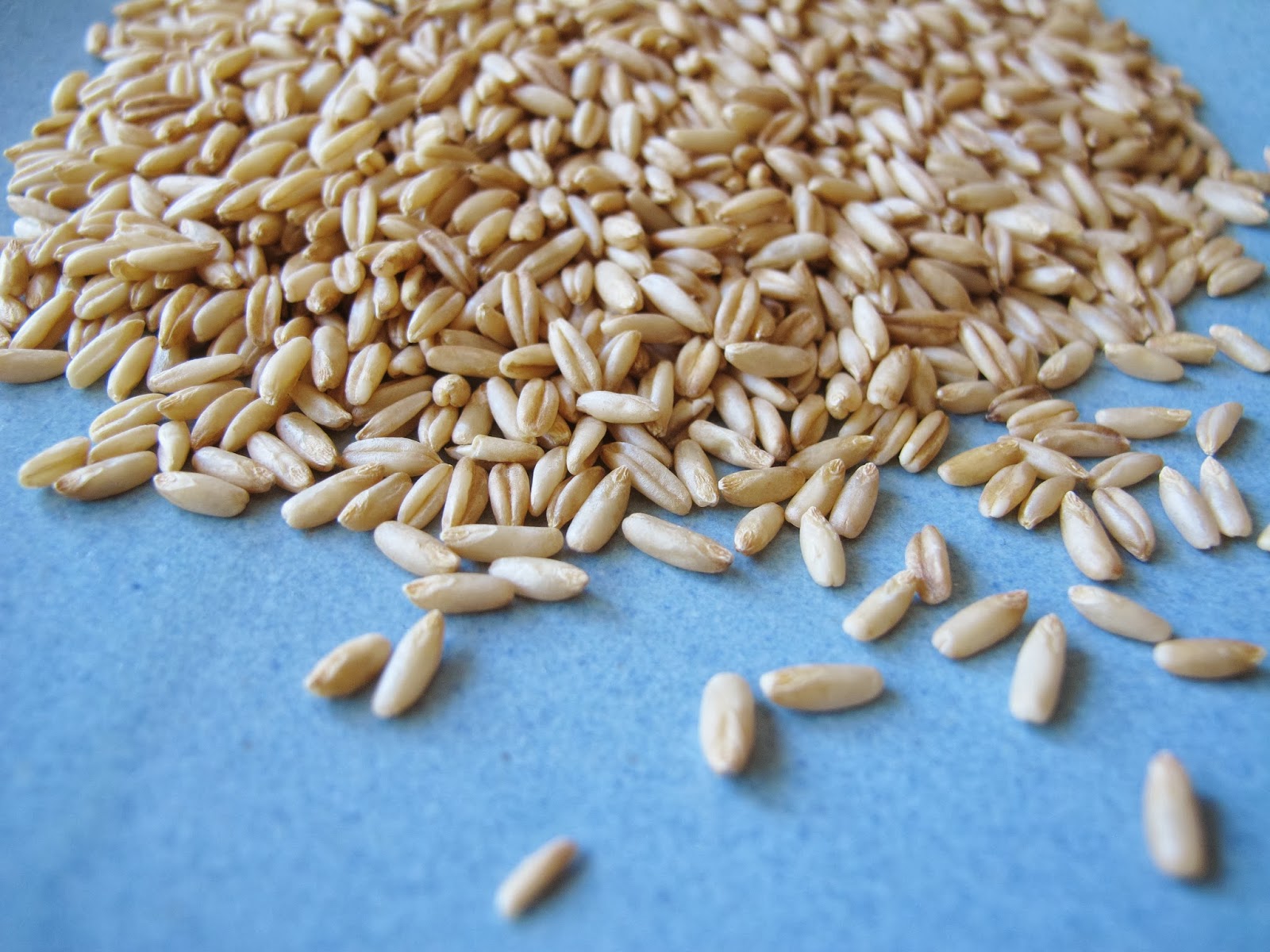 BITE. EAT. REPEAT.: CAVENA NUDA. IT'S NAKED SO IT'S GOTTA BE GOOD.