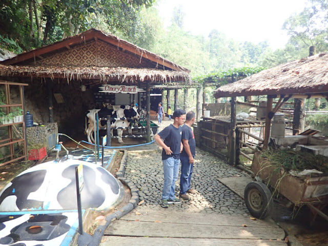 Cimory Riverside Puncak Bogor, Nikmatnya Makan di Pinggir Sungai ...