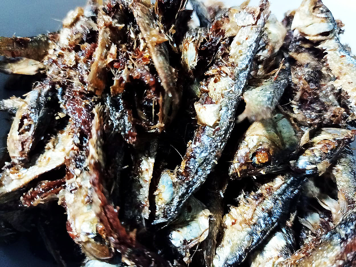 TAWILIS: A Good Breakfast Treat - KUMAGCOW.COM