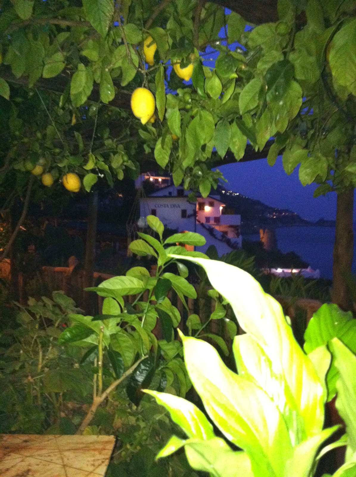 Izzy Eats: The art of raising a gourmand, one bite at a time: When Life ...