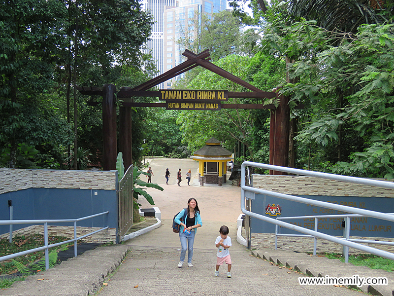Bukit Nanas Eco Park, KL