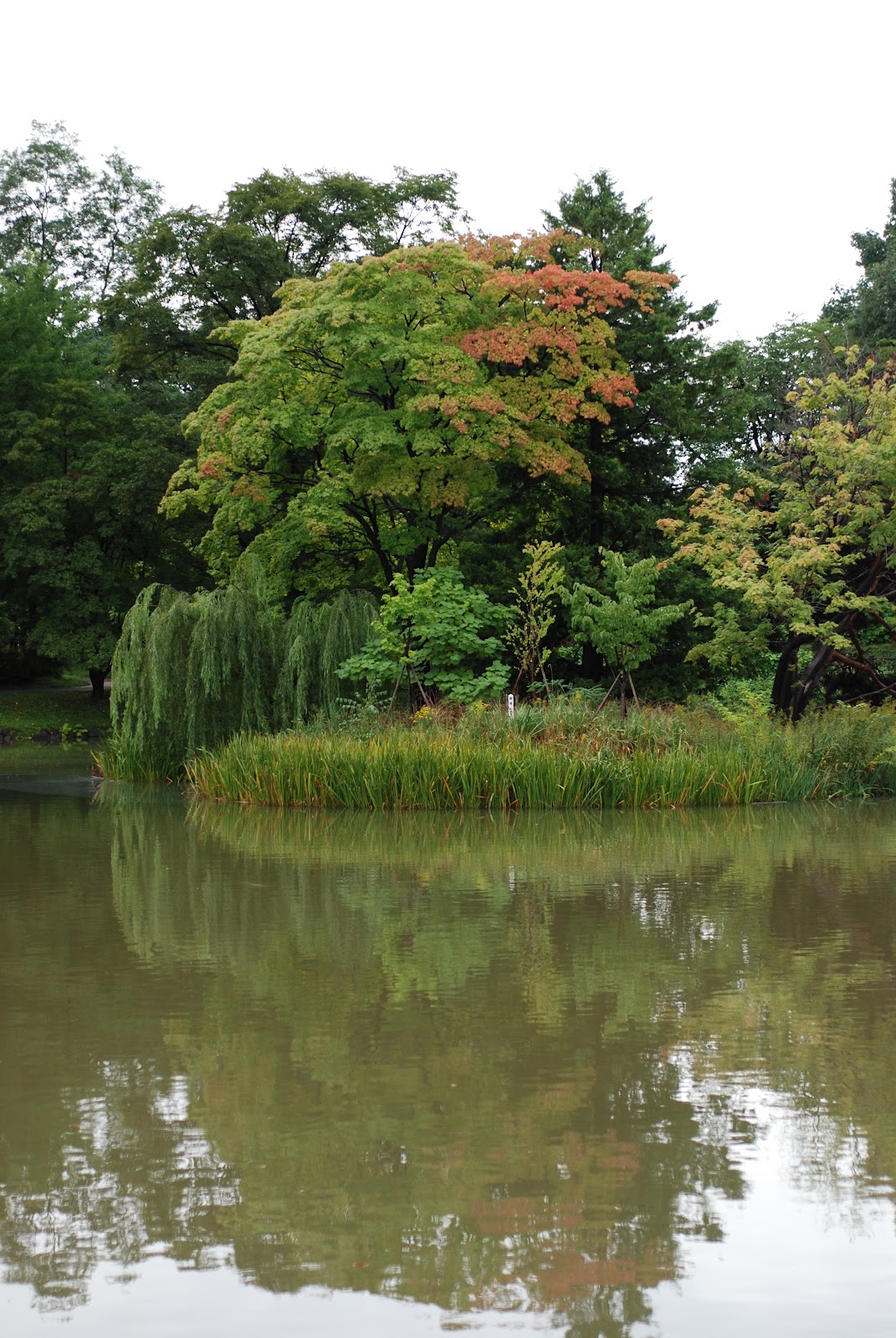 Kyle and Bre in Japan: 2 small adventures