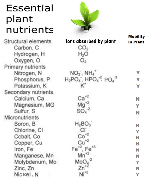 Ongzi's SecretGarden: Nutrient Mobility in Plants