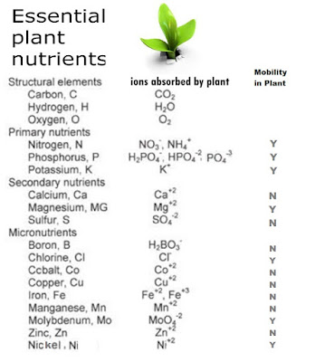 Ongzi's SecretGarden: Nutrient Mobility in Plants