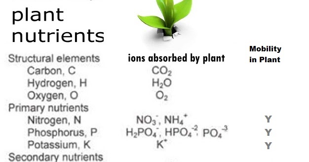 Ongzi's SecretGarden: Nutrient Mobility in Plants