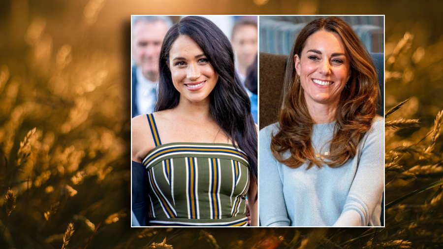 මෙගන්ගේ අලුත්ම සිනමා පටයේ රඟපාන්න කේට් කැමති වෙයි