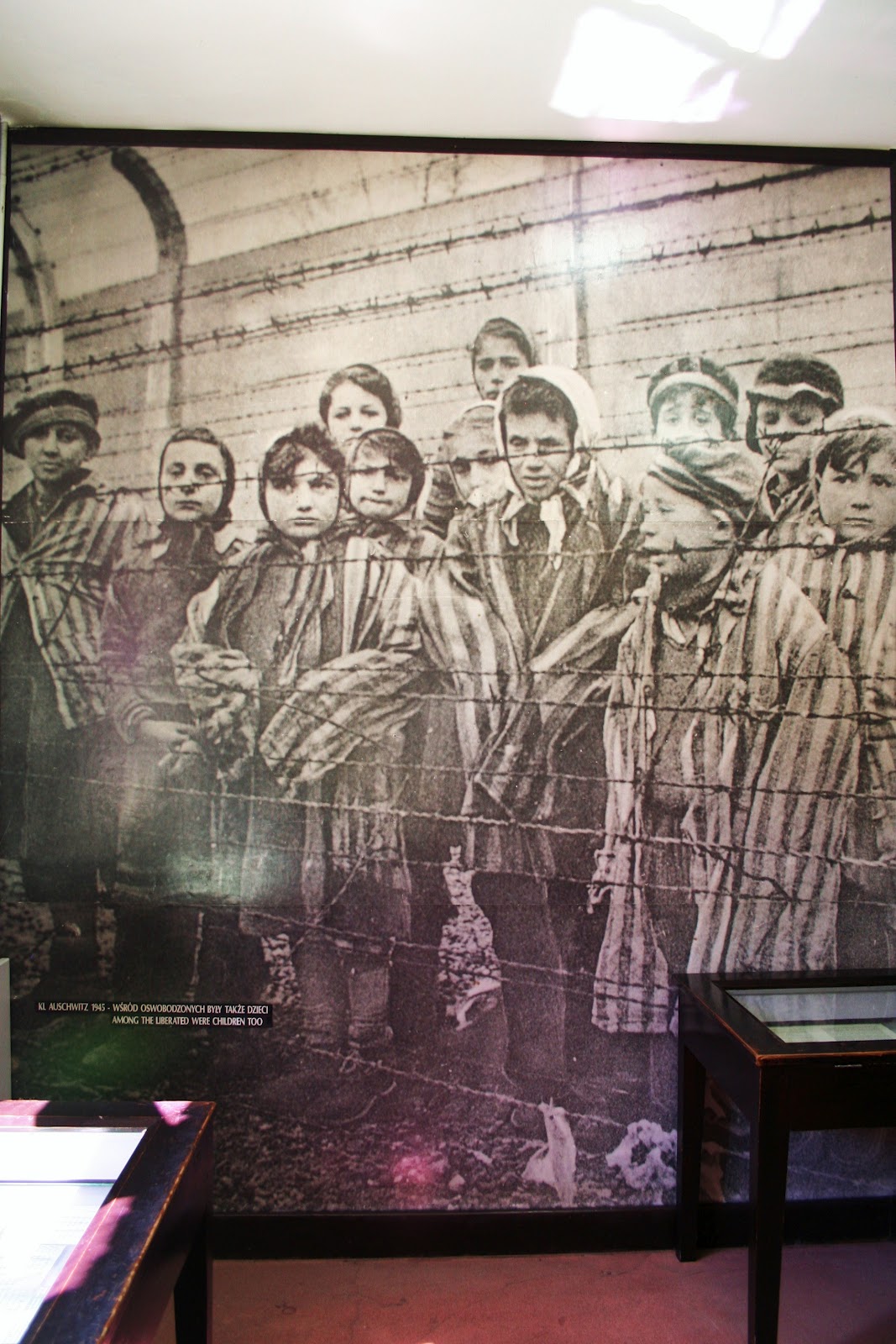 The Book of Kels: The Boy in the Striped Pyjamas