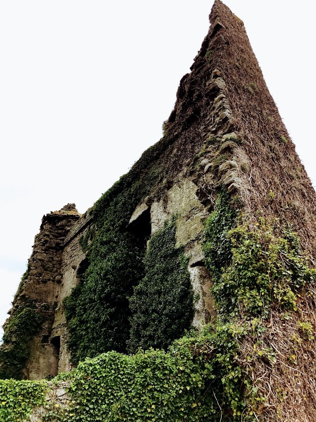 Patrick Comerford: A weekend walk by the shores of Lough Derg and ...