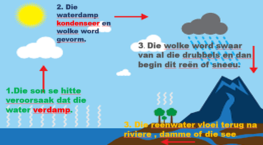 LSKM 221 Klas Refleksie: Week 1 van WIL