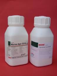 Enseñanza de la microbiología: Agar