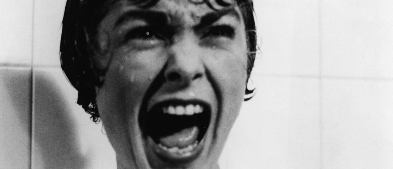 Sweet Bee Buzzings: Witty Repartee