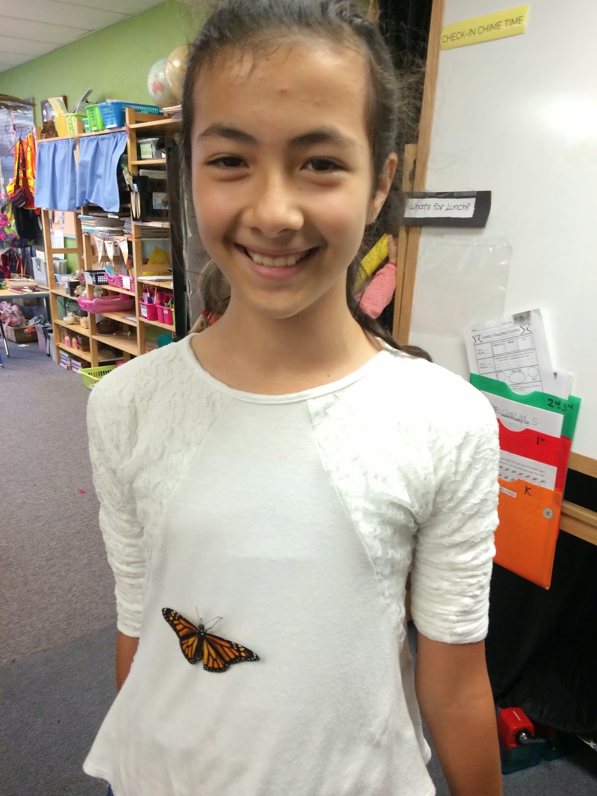 Butterfly Gardening