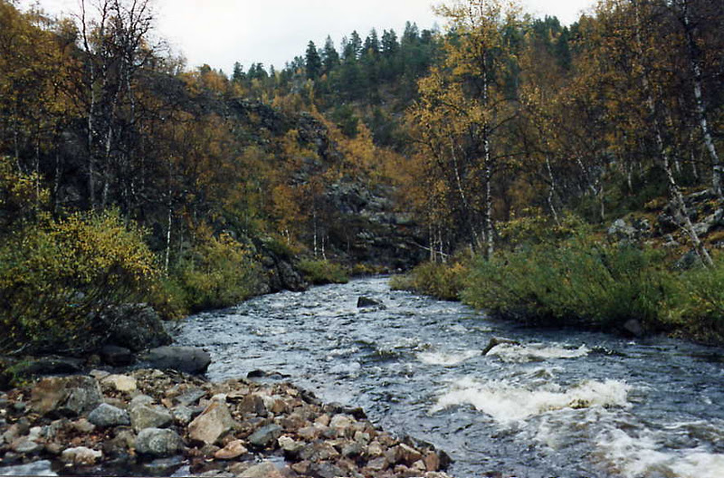 Finland-Lemmenjoki National Park ~ Travel