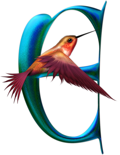 Abecedario de Colibrí. Hummingbird Alphabet. - Oh my Alfabetos!