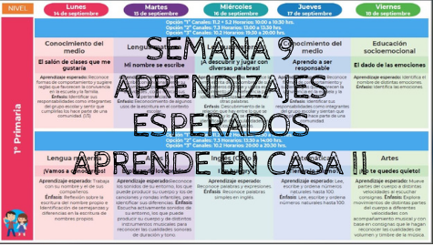Semana 9 Aprendizajes Esperados Aprende en Casa II