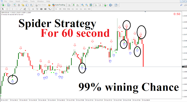 Spider Strategy Binary