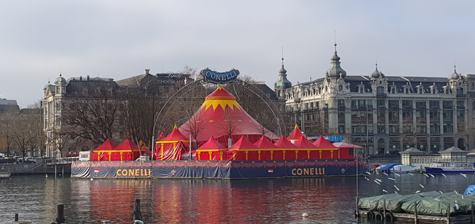 Solo Circo X Sempre: GALLERIE FOTOGRAFICHE: Circus Conelli (CH)