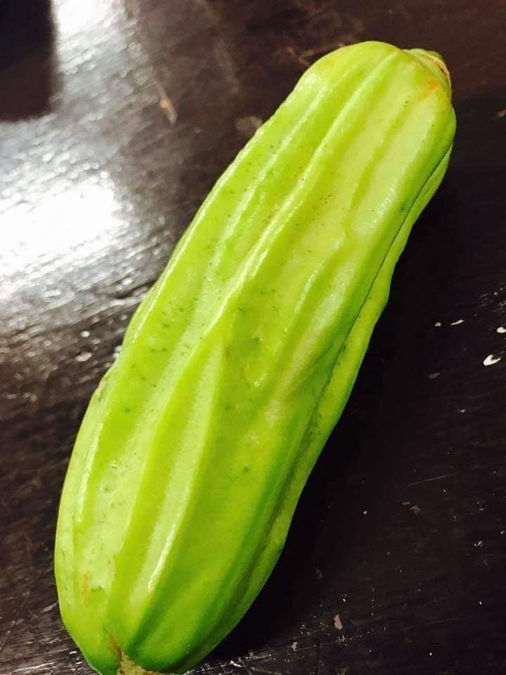 Orgullo Calentano - Región de Tierra Caliente: junio 2019