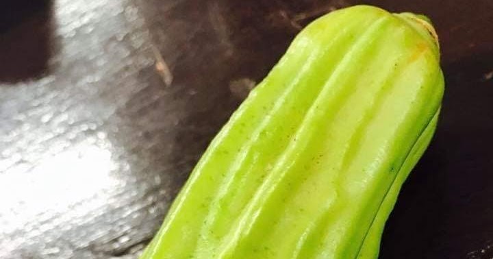 Soy de Tierra Caliente: El Cuajilote o Chote y sus beneficios medicinales