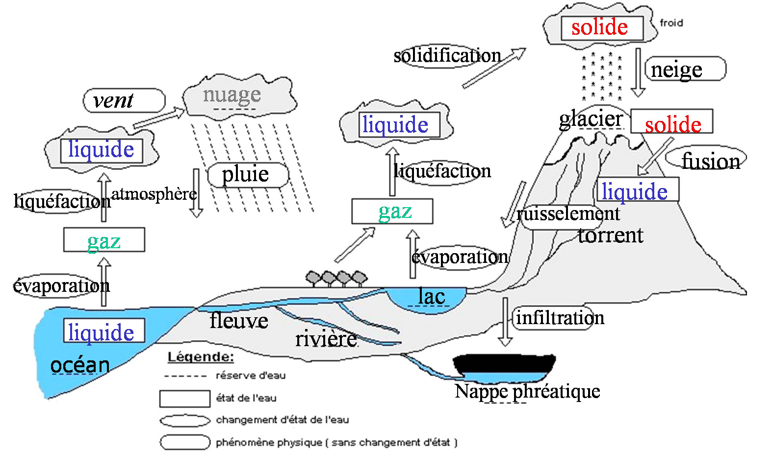 L’eau dans notre environnement