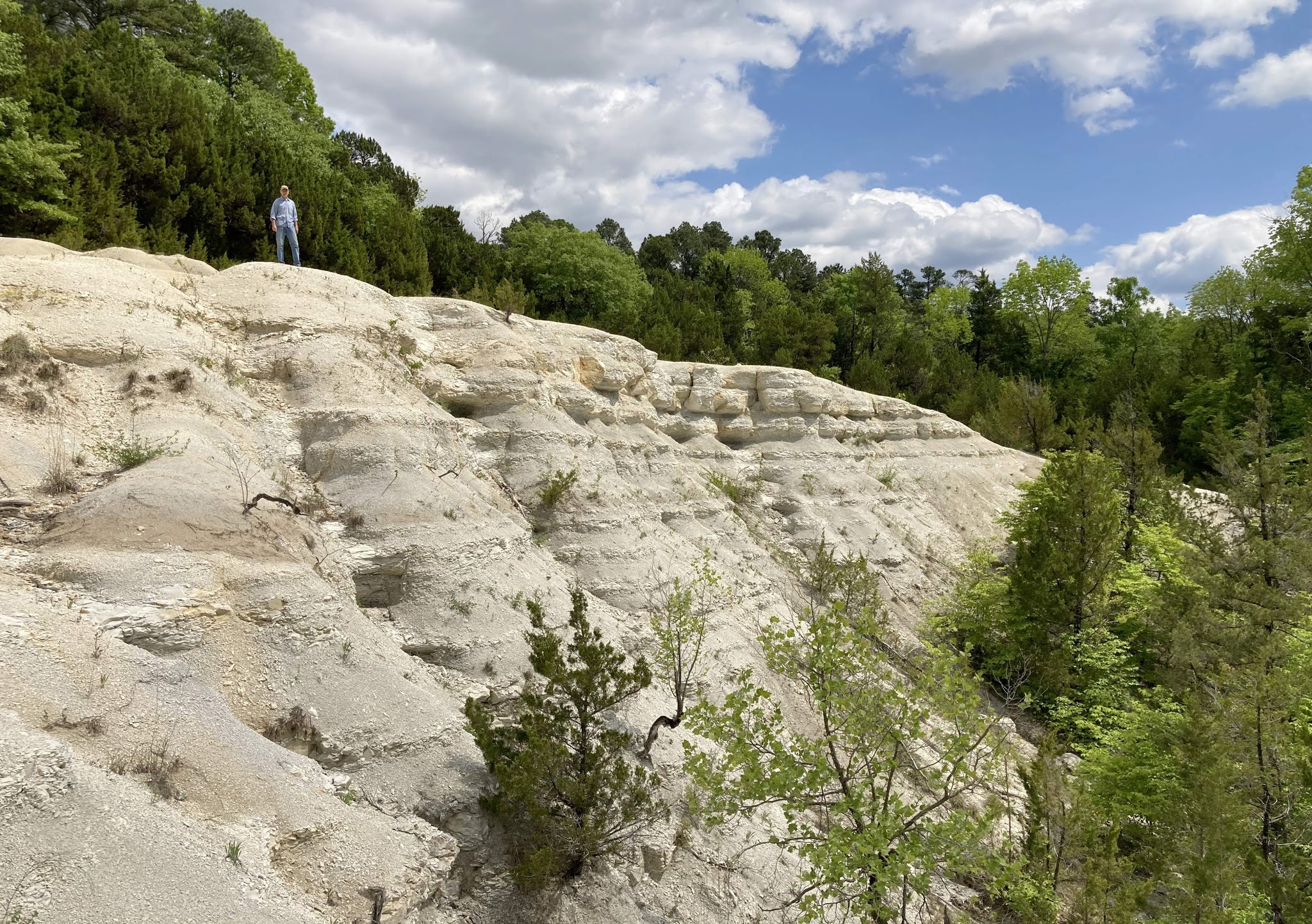 Wandering His Wonders: Where are the white cliffs of White Cliffs ...
