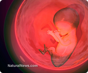 Technology: Genetically modified babies? - New science lets parents ...
