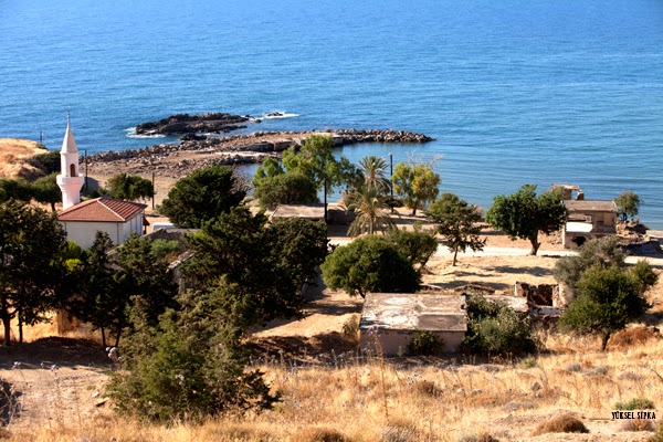 yüksel şipka: Erenköy