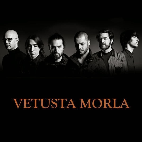 SOÑANDOSEVILLA: VETUSTA MORLA, ¿ HASTA DONDE PUEDE LLEGAR ESTA TORTUGA