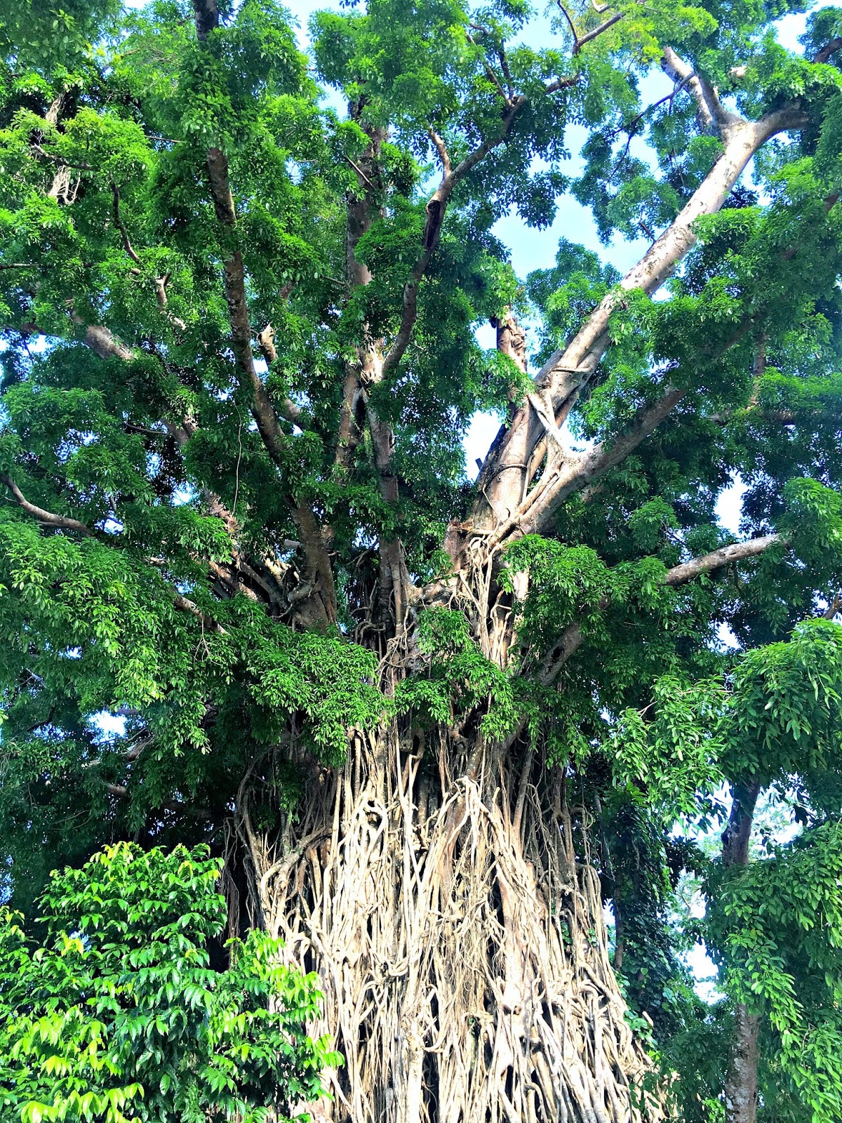Overnight in Baler - Living in the Moment