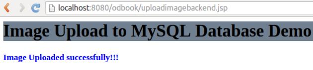 Computer Revolution How To Insert And Retrieve Image From Mysql Database In Jsp