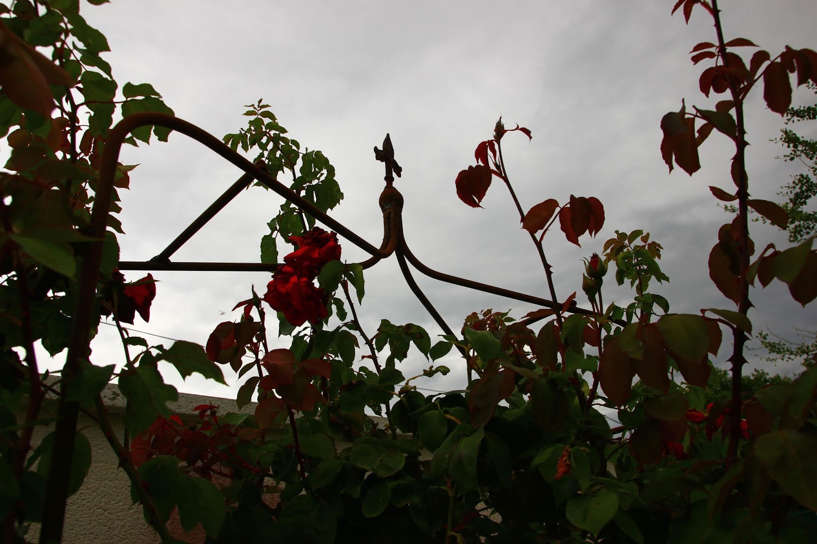 Decorative Rose Arch - Easy, Elegant Welding Project