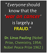 Wisdom From Above...For Cancer: Black Salve On-Line Journal