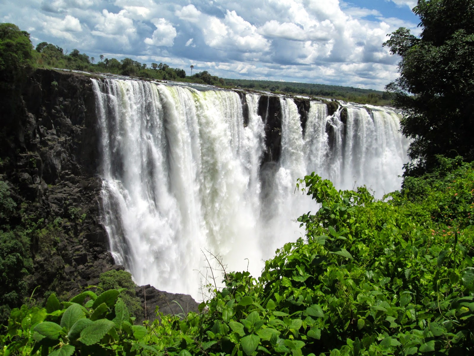 STATIC NOMADS: Victoria Falls: Take a Walk on the Wild Side