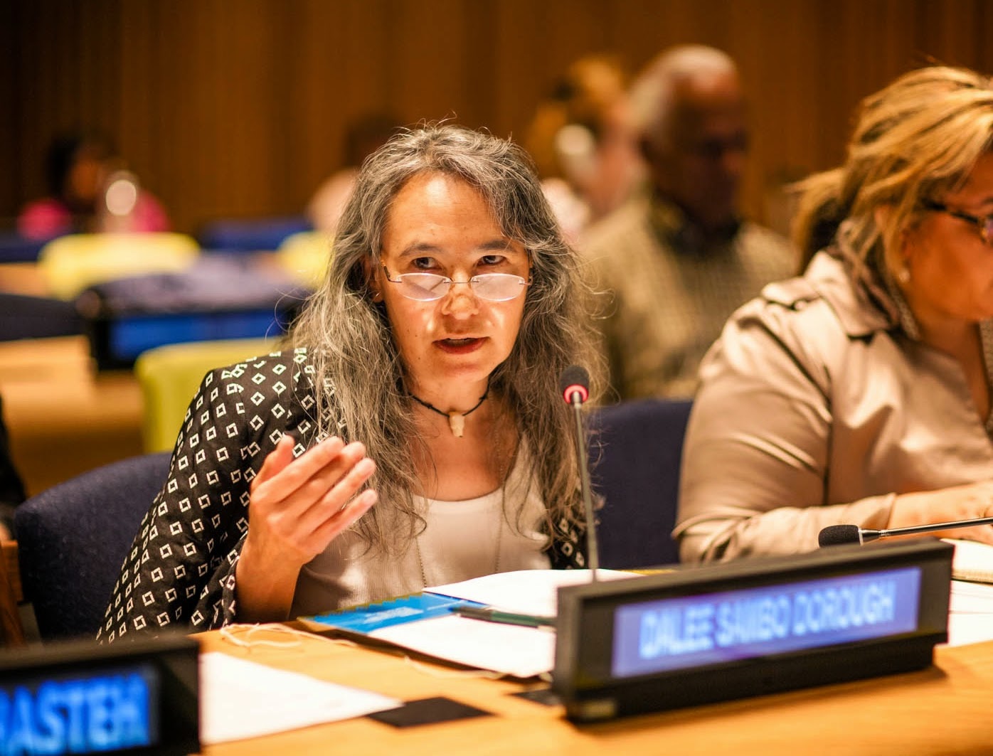 UNPFIP Network: Dalee Sambo Dorough, UNPFII 2014 End of Year Message