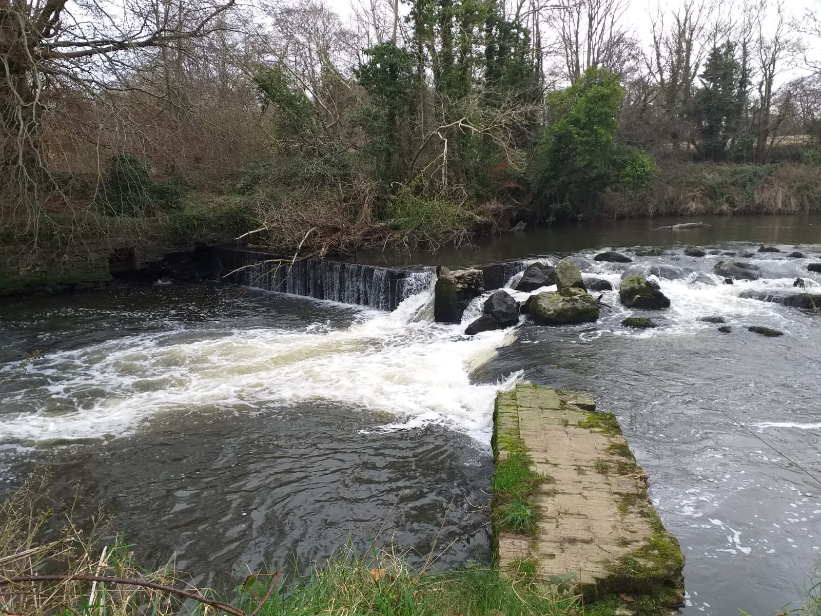 Boz North's Trail - Walking Blog: Lagan Towpath - Lisburn to Belfast ...
