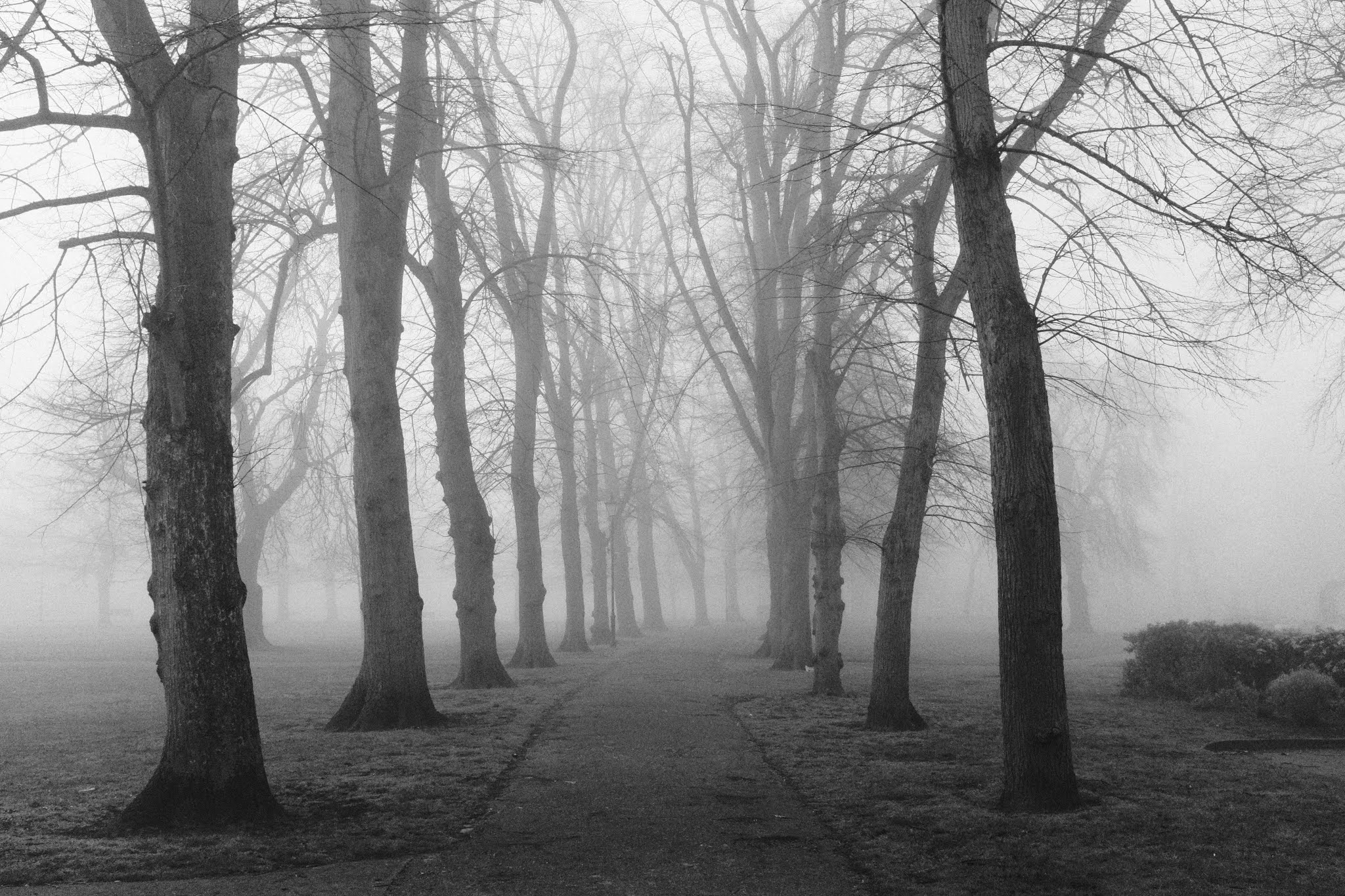 This Is A Long Road In A Dubious Mist But Still One That Is this-is-a-long-road-in-a-dubious-mist-but-still-one-that-is