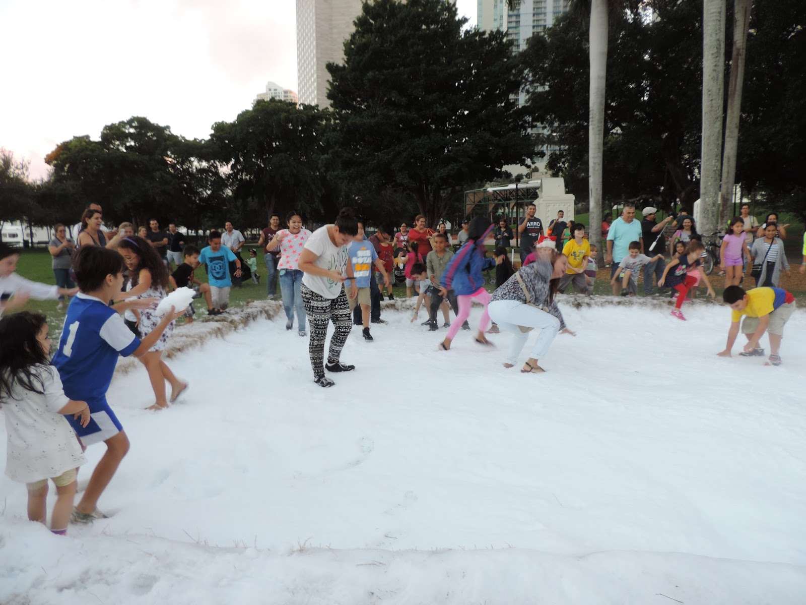 Bonao Internacional: CURIOSIDAD : ESTUVO " NEVANDO " EN MIAMI , PARA ...